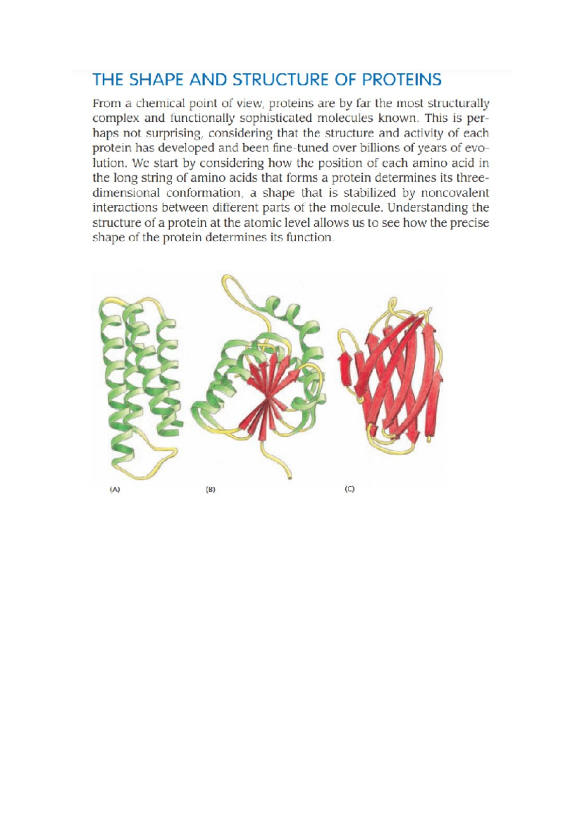 Imp - imp part from textbook - Essential Cell Biology - Bio130H1 - Studocu