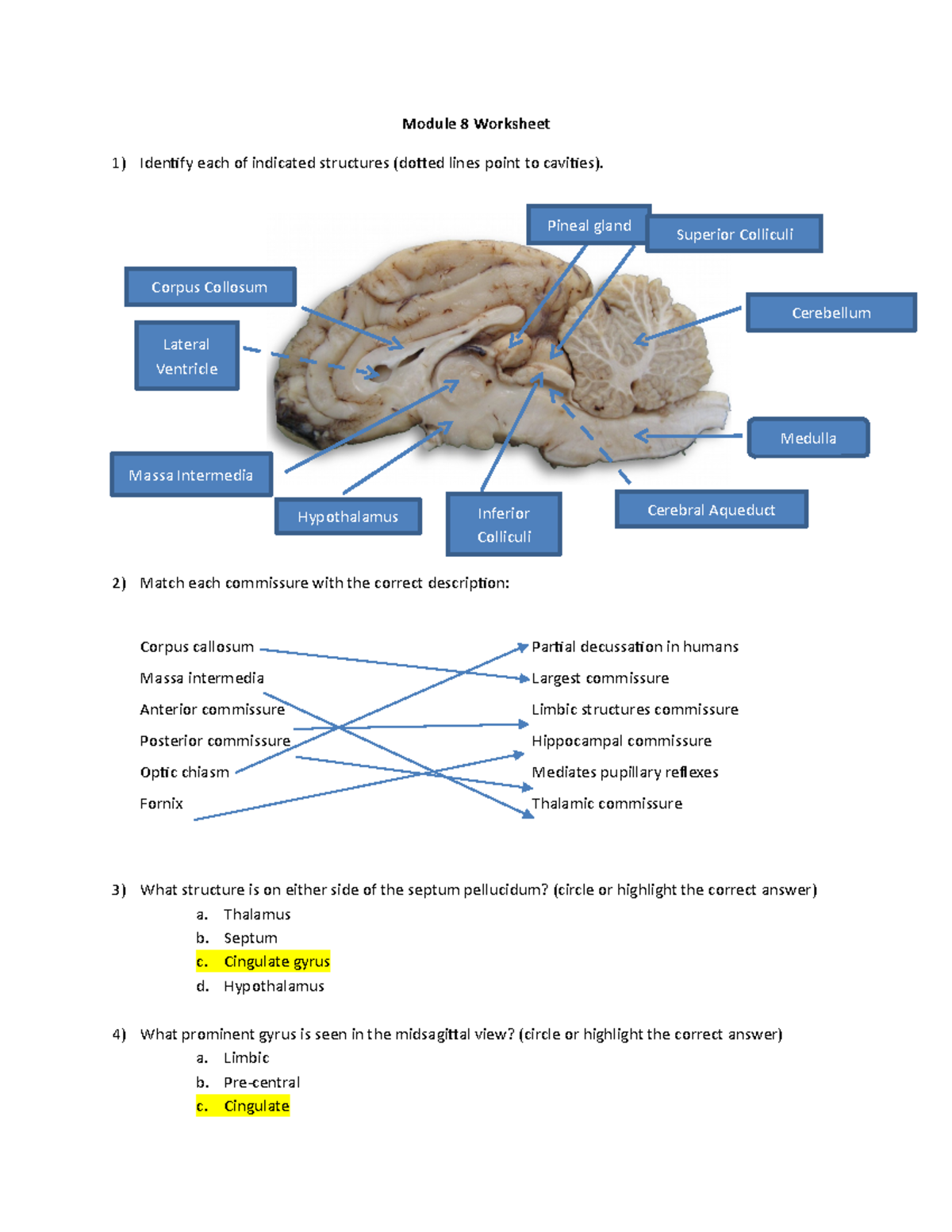 Module 8 Worksheet - Module 8 Worksheet Identify each of indicated ...