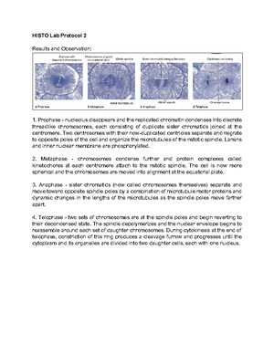 [Histopathology] Tissue Processing - Instrumentation in Histopathology ...
