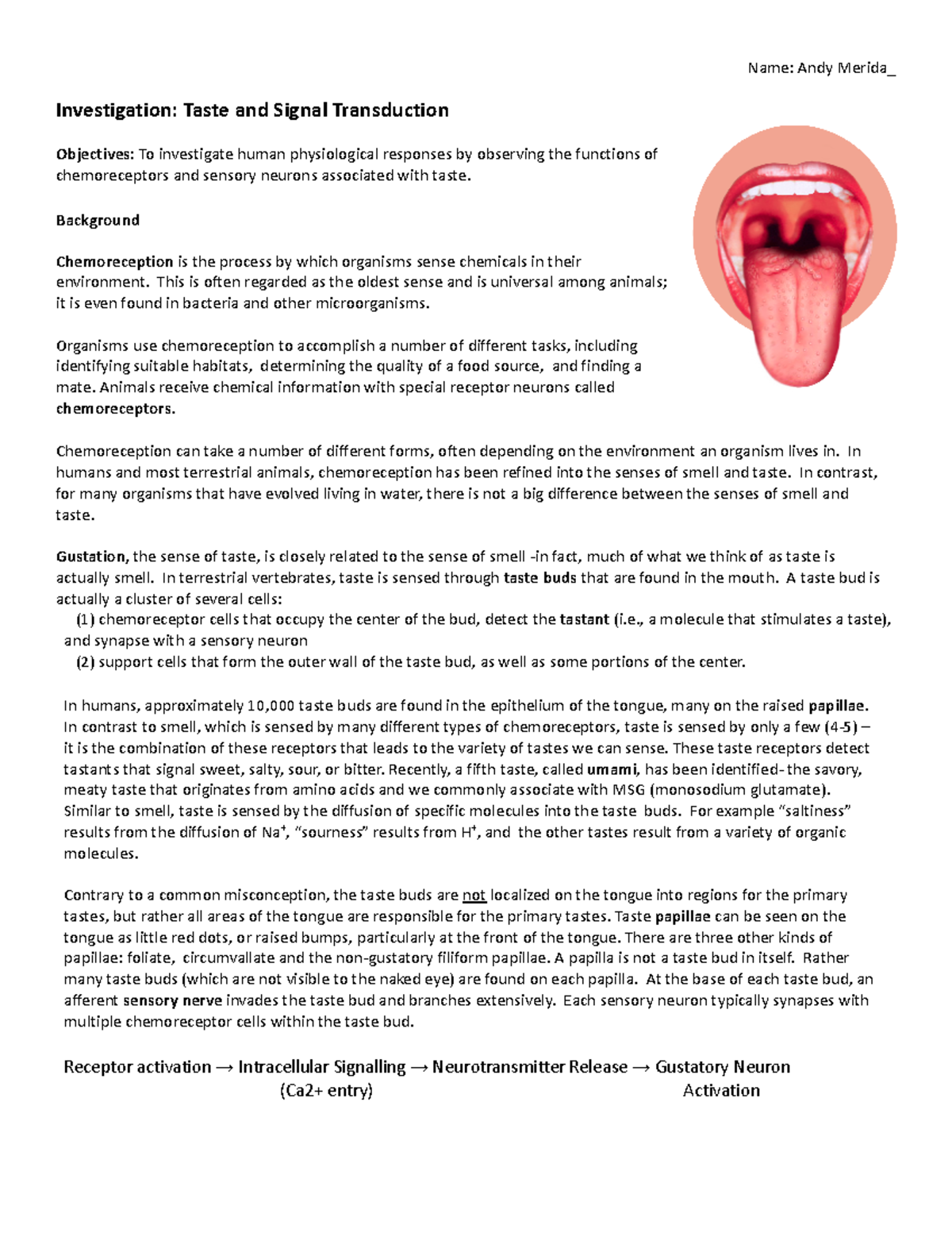 Copy of Copy of AP Bio Lab - Unit 4 - Signal Transduction - Name: Andy ...