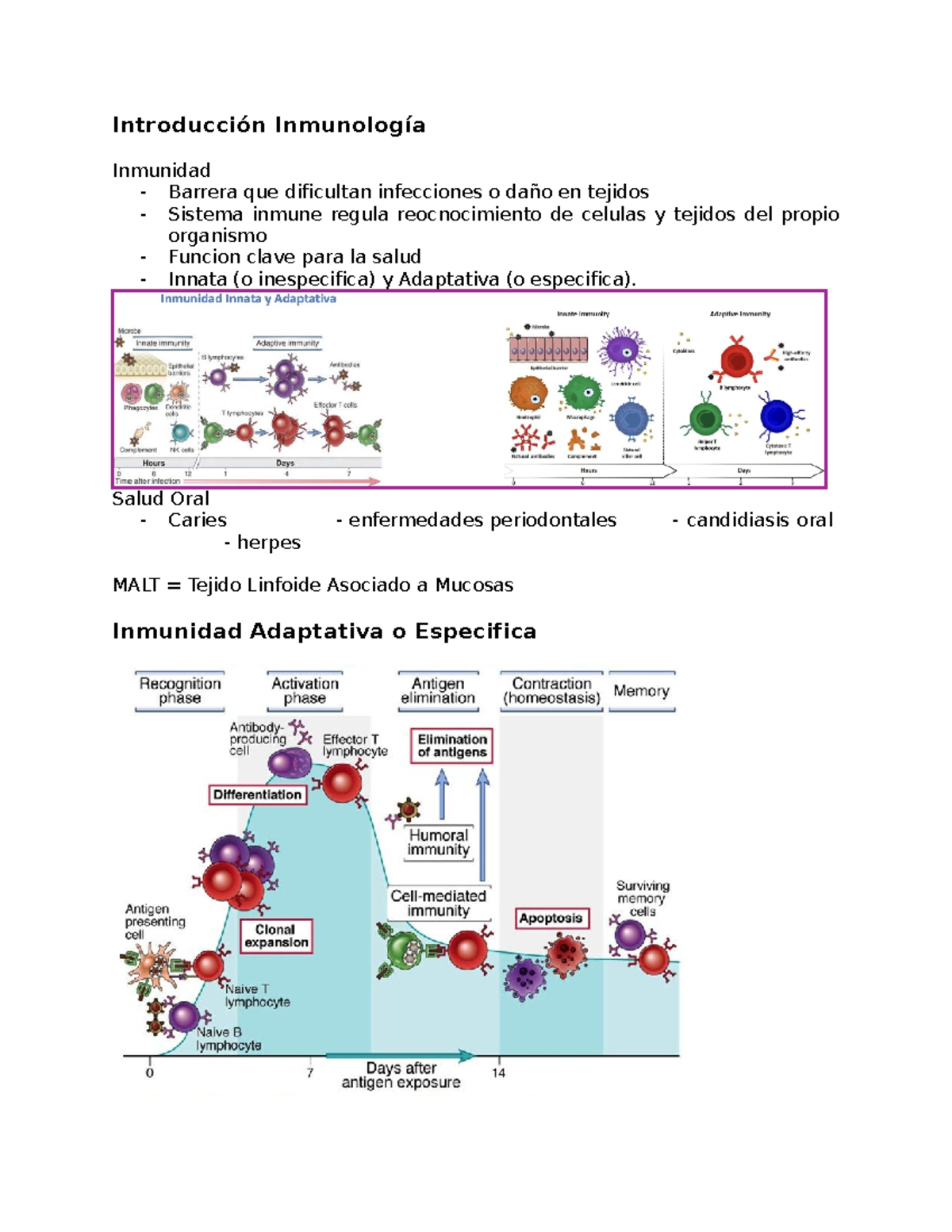 25.03 Inmunidad Adaptativa - Introducción Inmunología Inmunidad - Barrera que dificultan ...