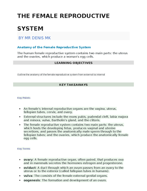 Female Reproductive System notes - The Female Reproductive System ...
