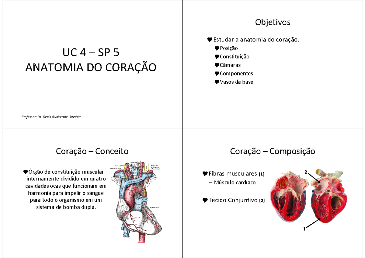 UC4 SP5 - Anatomia DO Coração - UC 4 – SP 5 ANATOMIA DO CORAÇÃO ...