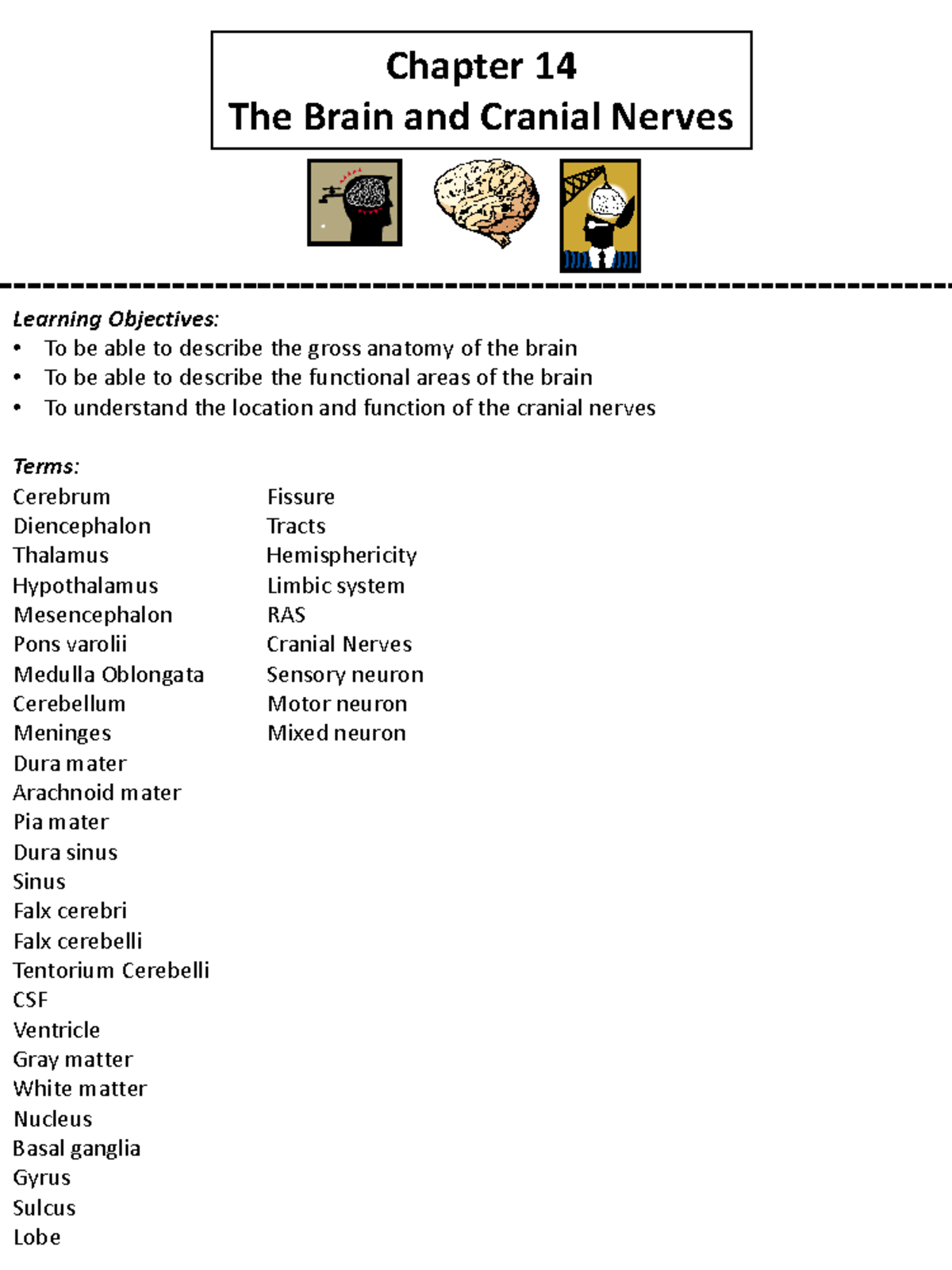 Chapter 14 lecture notes - Chapter 14 The Brain and Cranial Nerves ...