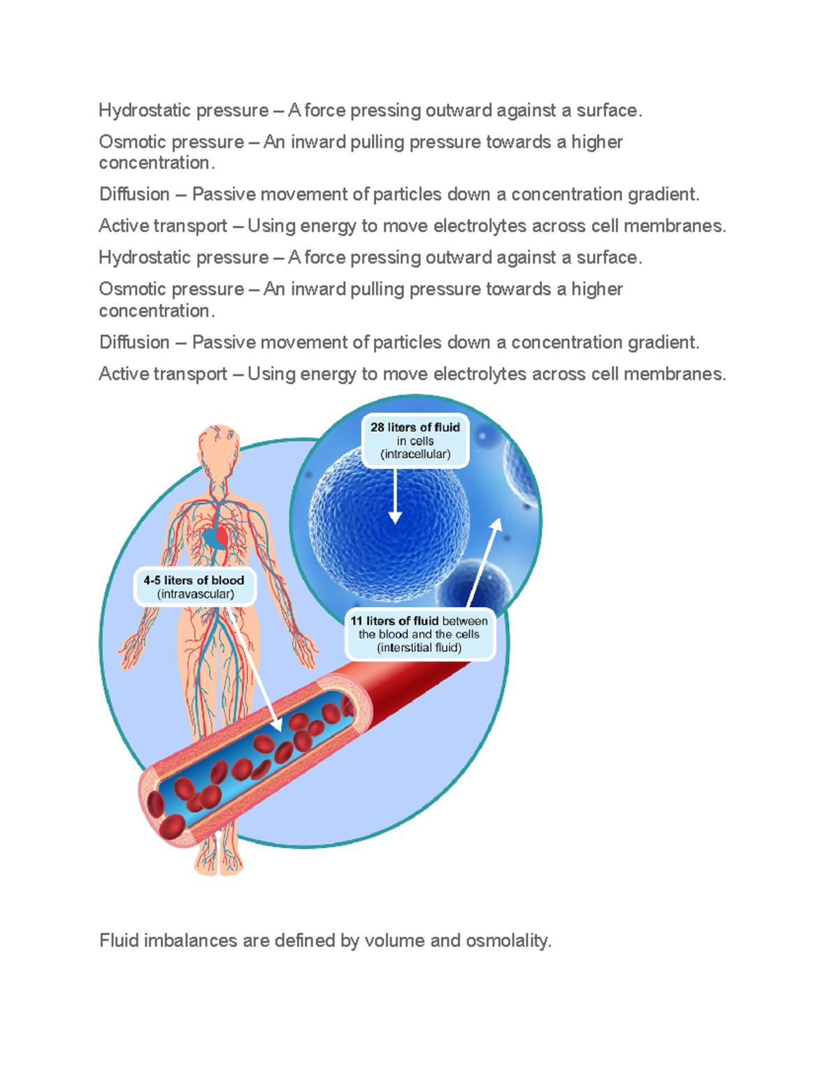 Hydrostatic pressure - edapt notes - Hydrostatic pressure – A force ...