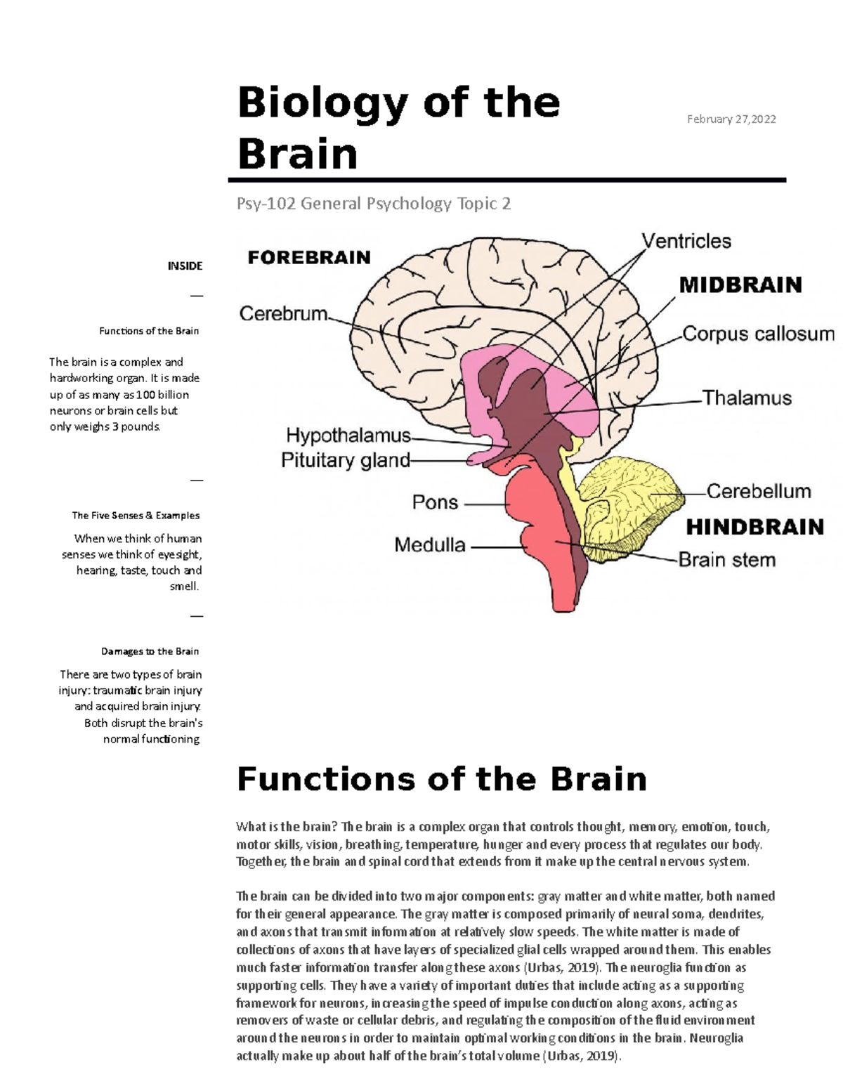 Botbfd biology of the Brain - Biology of the Brain February 27, Psy-102 ...