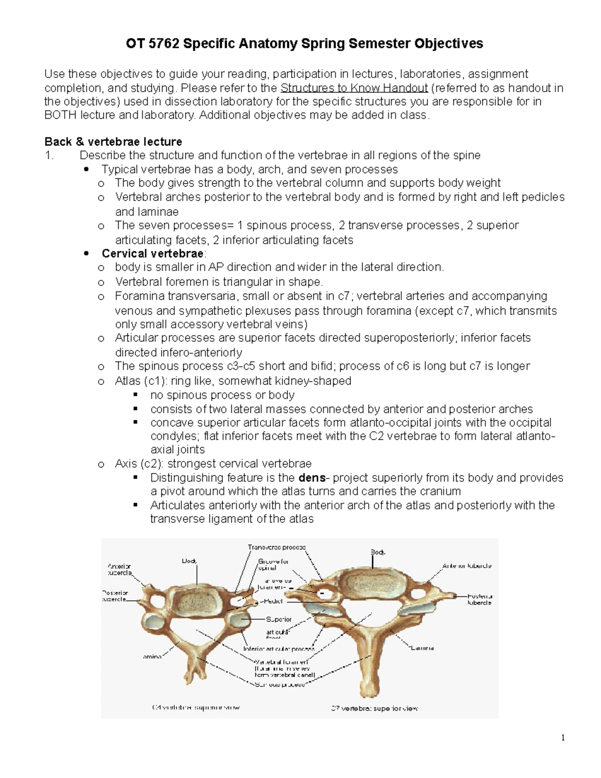 Anatomy Objectives 2015 - OT 5762 Specific Anatomy Spring Semester ...