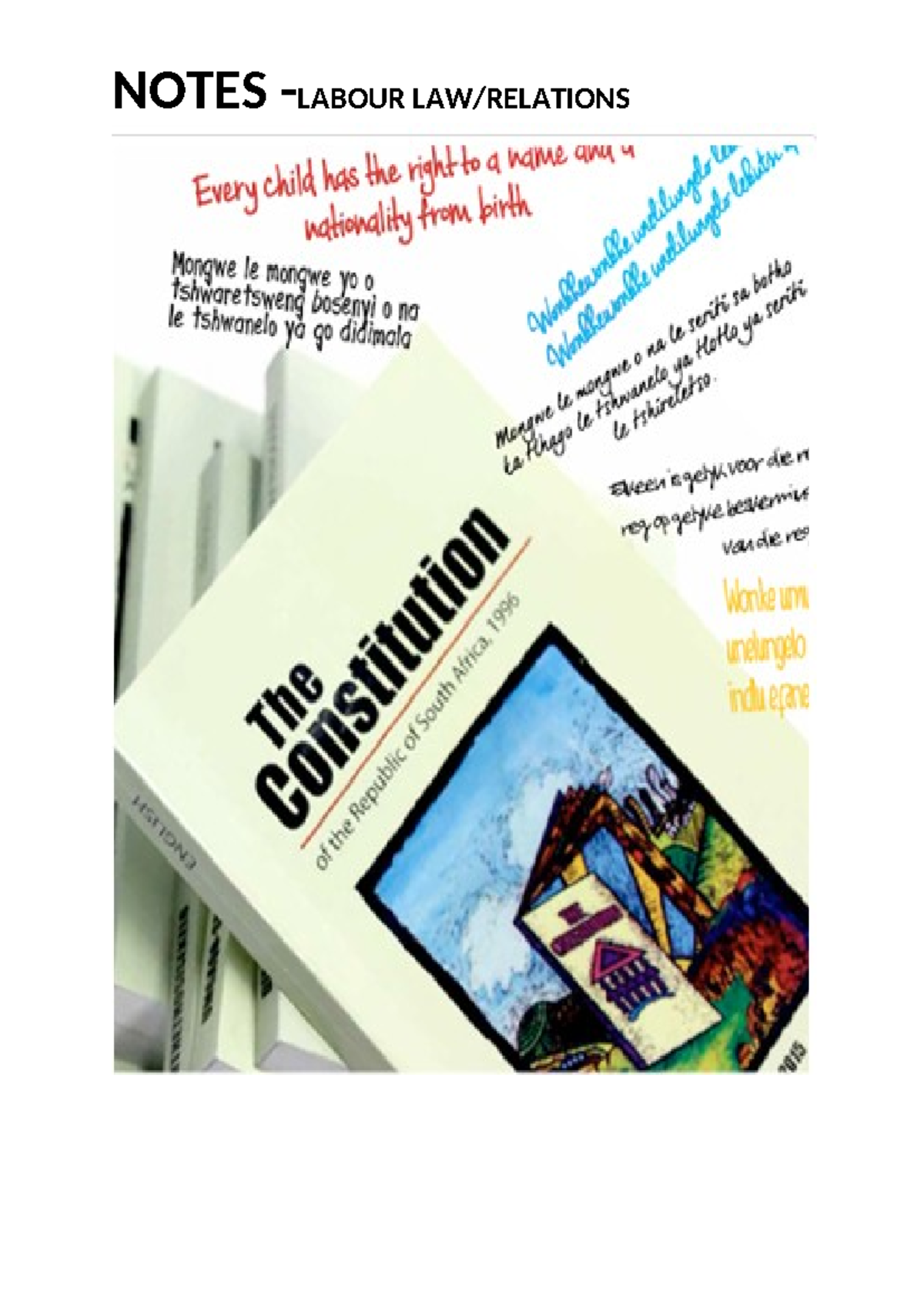 Labour Law Relations - Notes - Labour Relations Act 66 of 1995 Basic ...