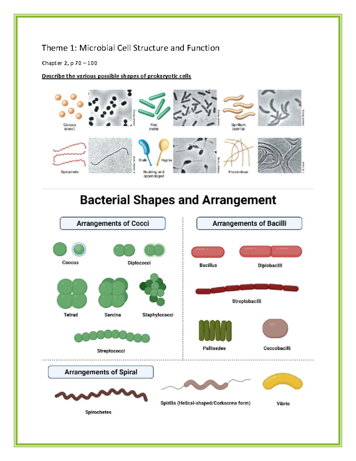 Themes 1-4 of mycoloy - Theme 1: Microbial Cell Structure and Function Chapter 2, p 70 – 100 ...