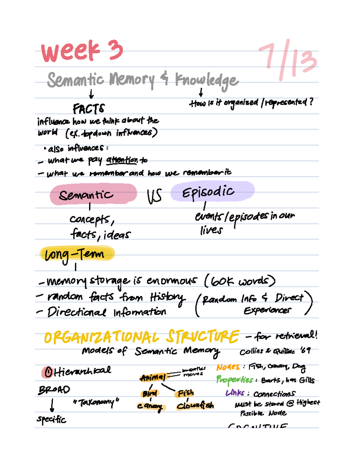 Cognition -part-4 - PSYC 3466 - Studocu