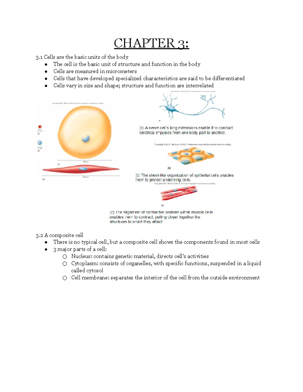 Human A & P I Notes Chapter 3 - CHAPTER 3: 3 Cells are the basic units ...