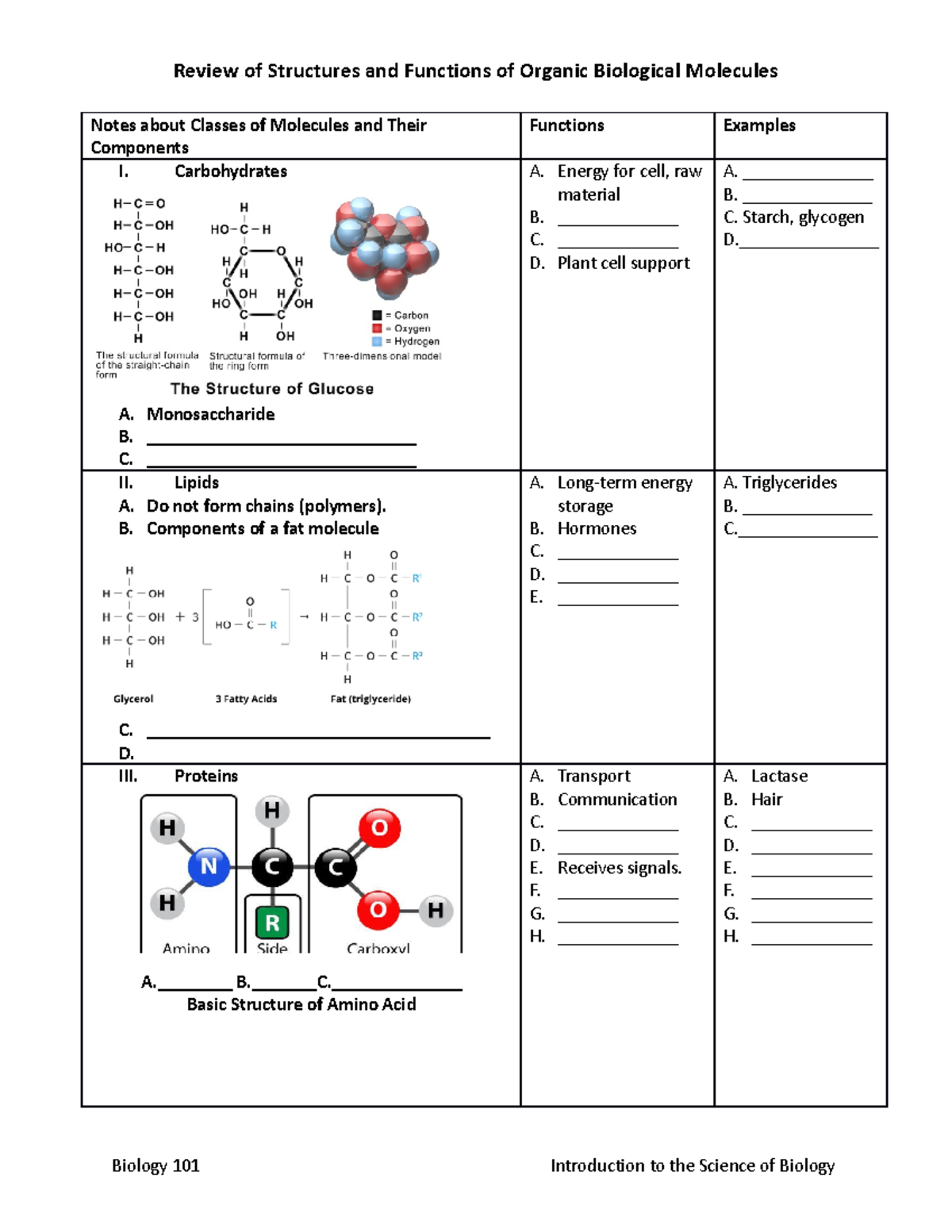 Organic Biological Molecules Function Chart - Review of Structures and ...