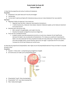 Answer Key Lab Microscopes and Cells - Lab 3: The Microscope and Cells ...