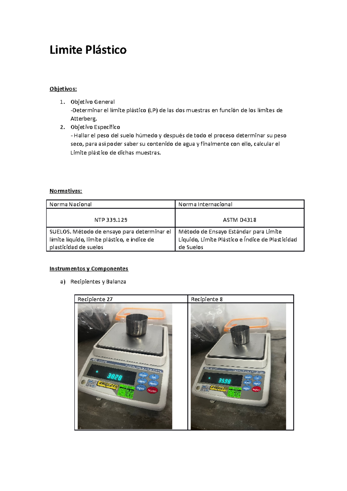 Limite Plástico - Limite Plástico Objetivos: 1. Objetivo General ...
