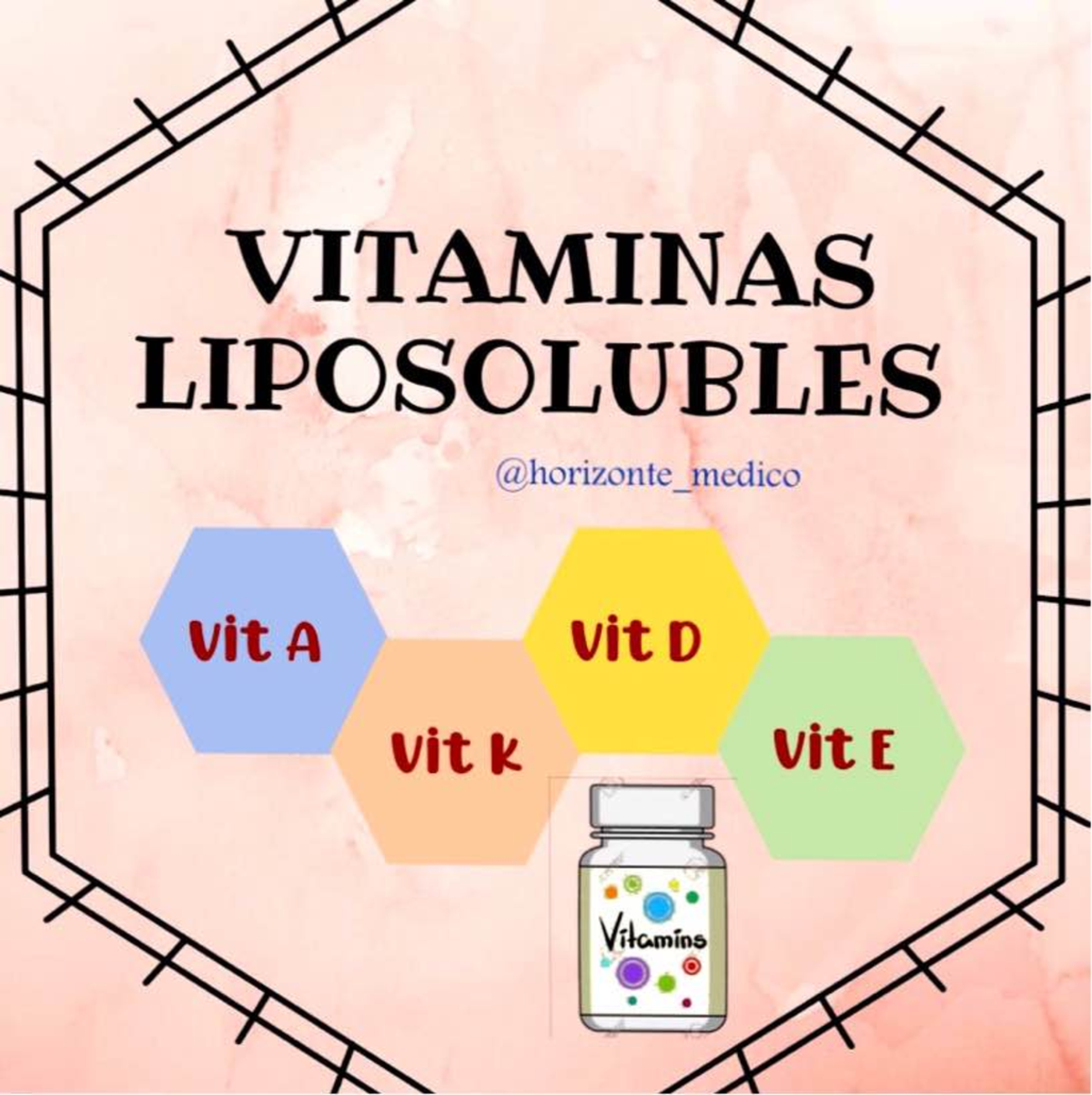Vitaminas liposolubles - Anatomia - Studocu