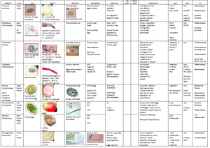 Malarial-Parasites - MALARIAL PARASITE Phylum apicomplexa - “capable of ...