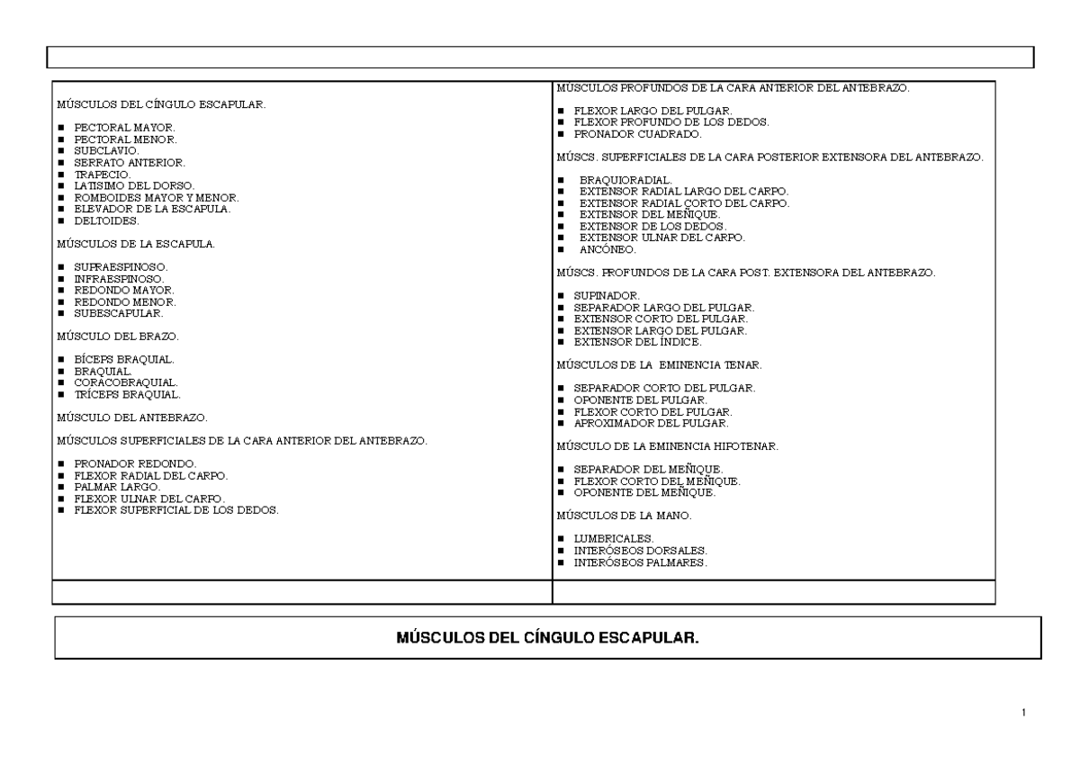 MMSS - MÚSCULOS DEL CÍNGULO ESCAPULAR. PECTORAL MAYOR. PECTORAL MENOR ...