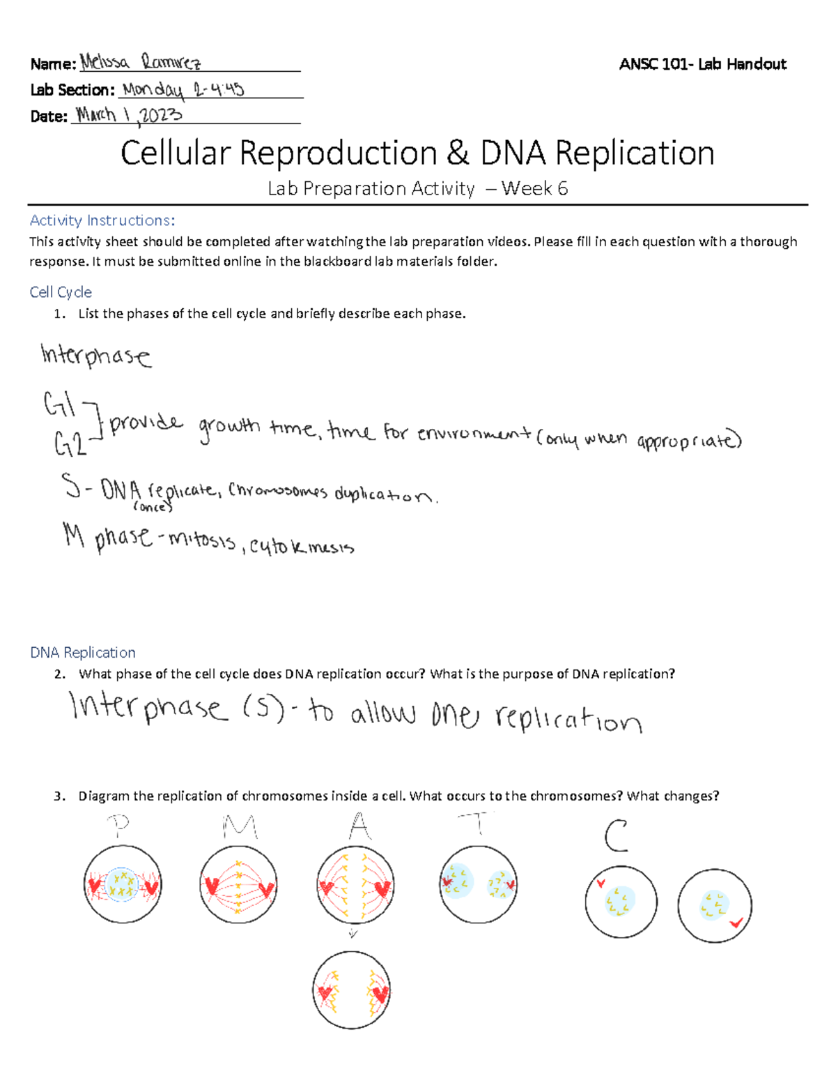 Lab Prep Activity Wk6 2022-1 230301 170728 - Name ...