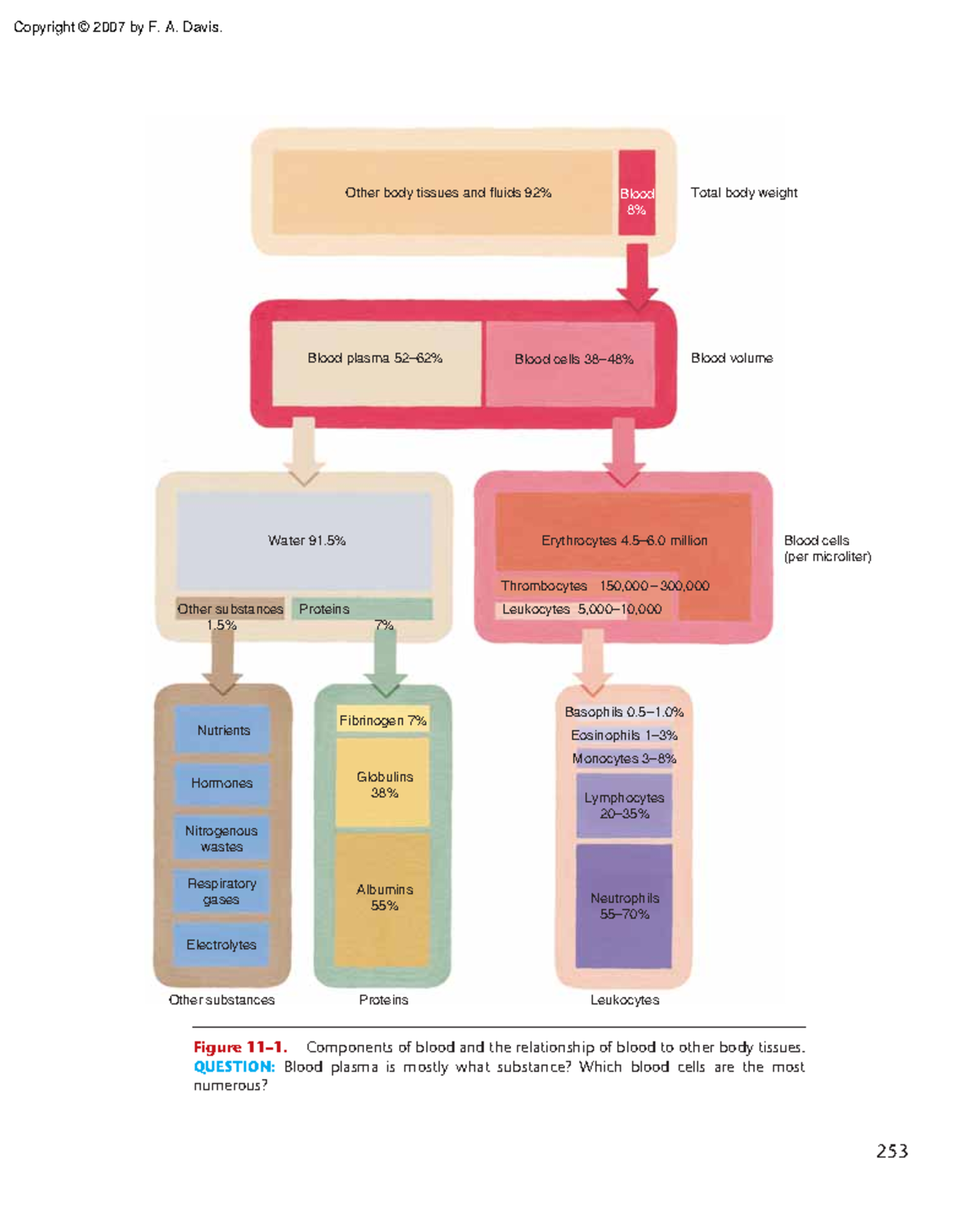 Essentials of Anatomy and Physiology 280 - 253 Other body tissues and ...
