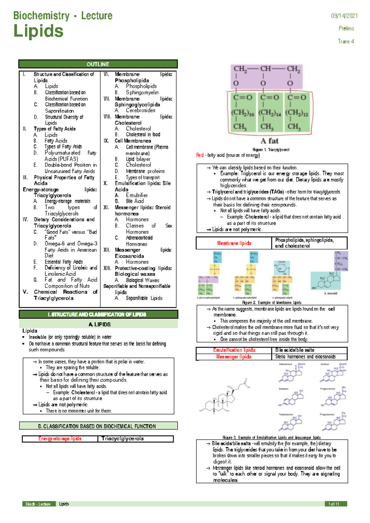 Biochemistry Lipids - Bioch - Lecture Lipids 1 of 11 Biochemistry ...