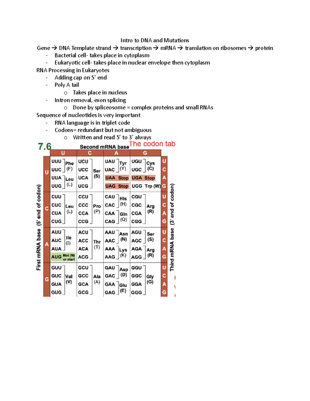 Genetic Replication and DNA Mutations - Intro to DNA and Mutations Gene ...