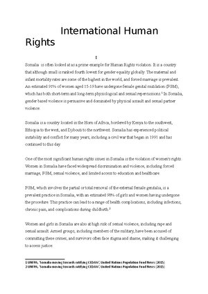 International Human Rights Law Notes - INTERNATIONAL HUMAN RIGHTS LAW ...