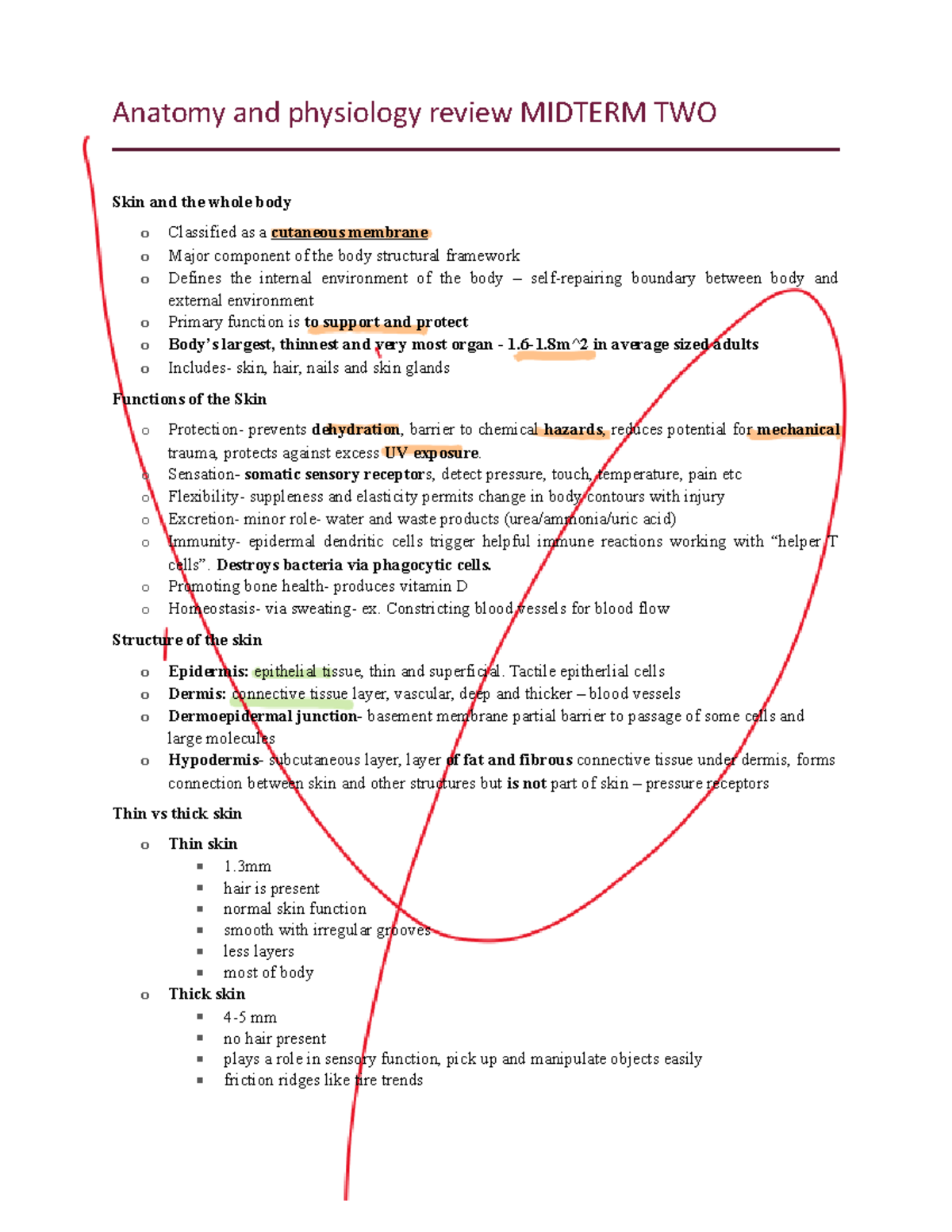 Anatomy and physiology review Midterm TWO - Anatomy and physiology review MIDTERM TWO Skin and ...