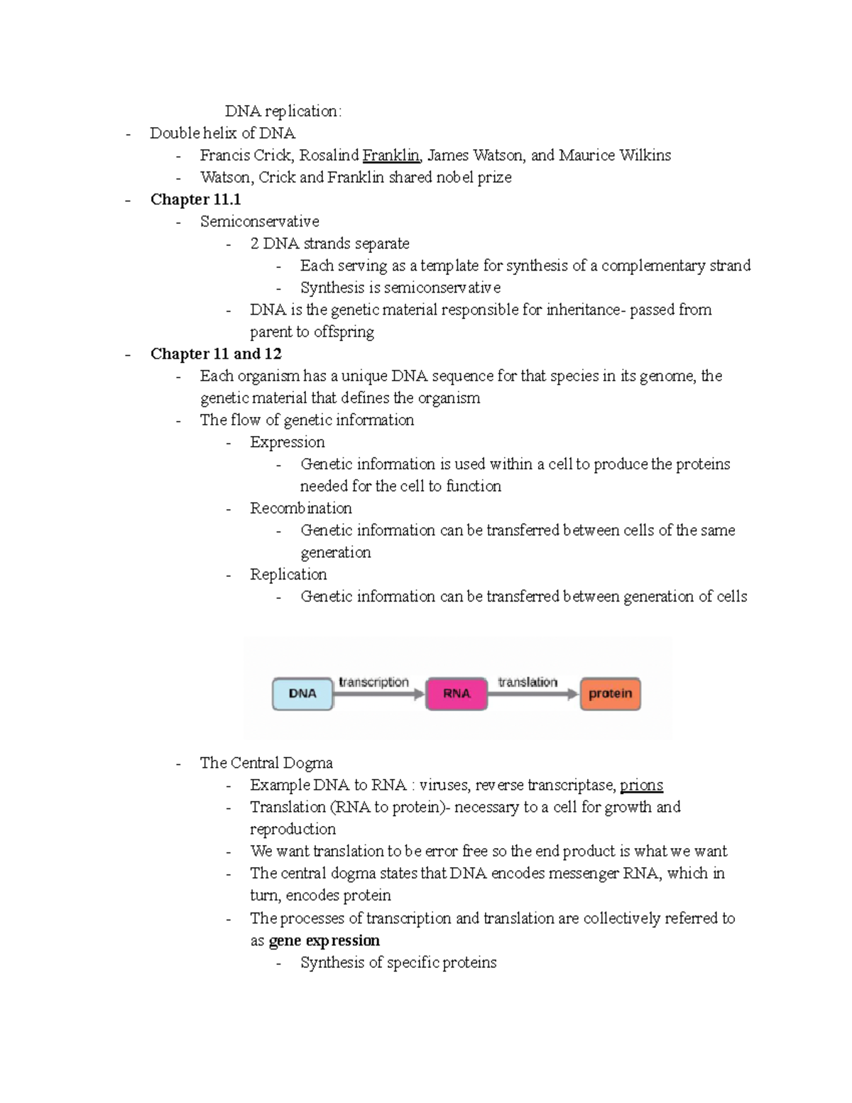 DNA Replication and Central Dogma - Studocu