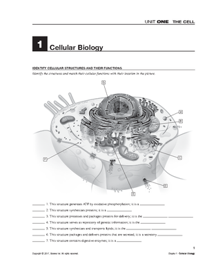 Performance Task - Graphing Conic Sections - Student Guide - Assignment Summary For this ...
