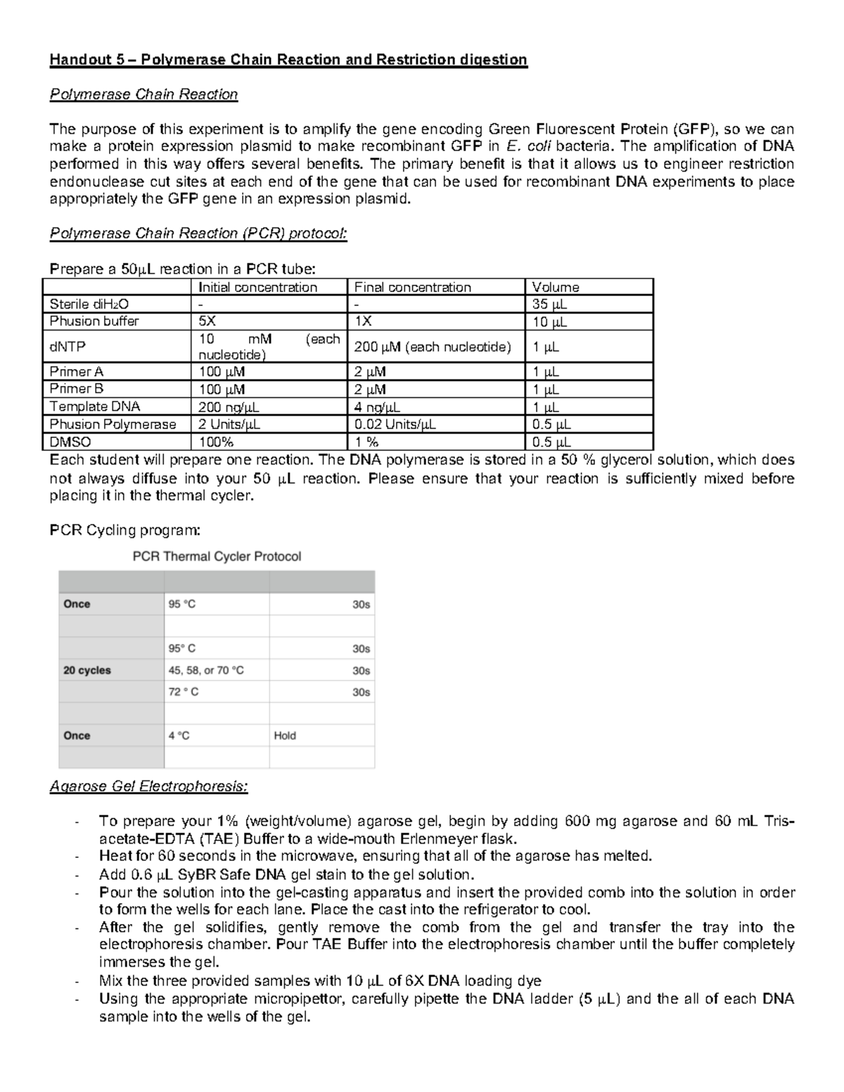 Handout 5 - Ronning - Handout 5 – Polymerase Chain Reaction and ...
