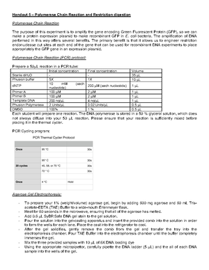 Handout 3 - Ronning - Handout 3 – DNA Primer Design and DNA Melting and ...