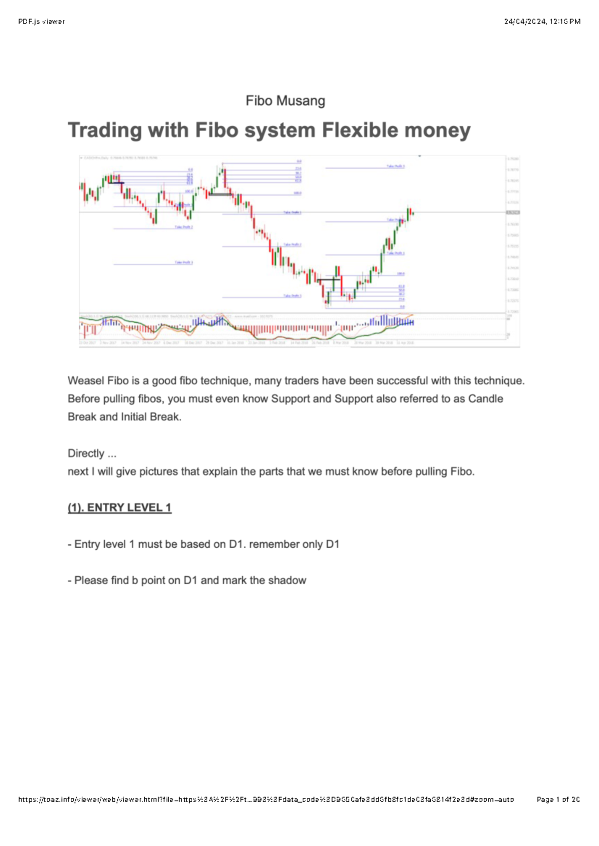 Fibo Musang Enrty level - - Studocu