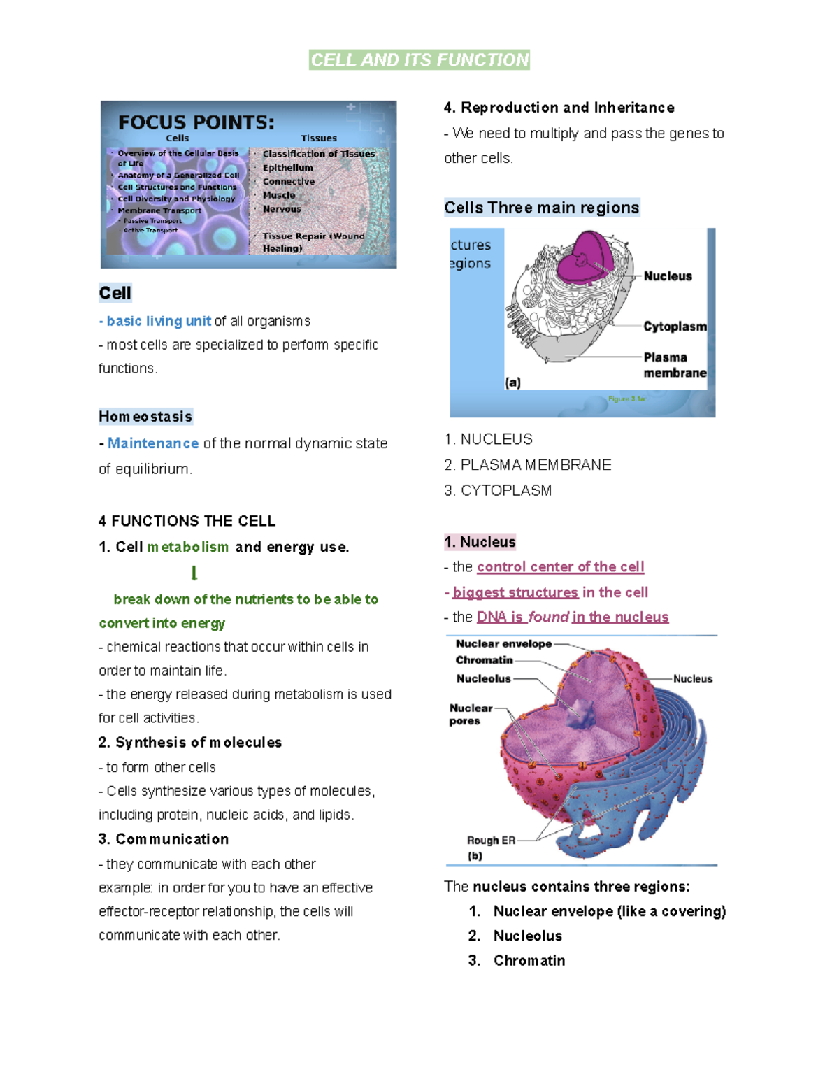 Anaphy (cells) - Dr. Borbon - CELL AND ITS FUNCTION Cell - basic living ...