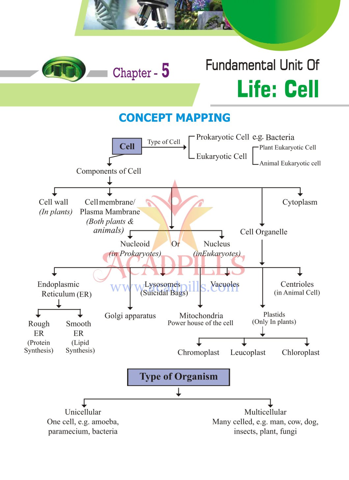The fundamental unit of life notes with important questions - Chapter 5 ...