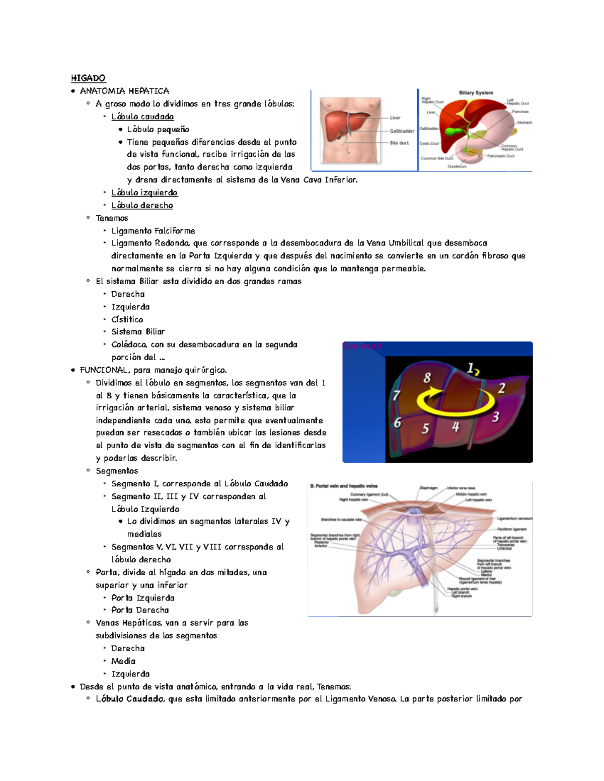 9. Higado - Radiologia PUJ - HIGADO • ANATOMIA HEPATICA A groso modo lo ...