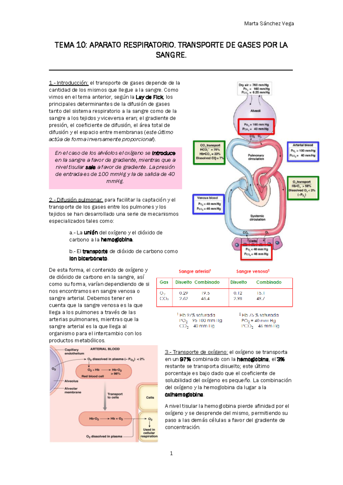 TEMA 10 - Varios. - Warning: TT: undefined function: 32 TEMA 10: APARATO RESPIRATORIO ...