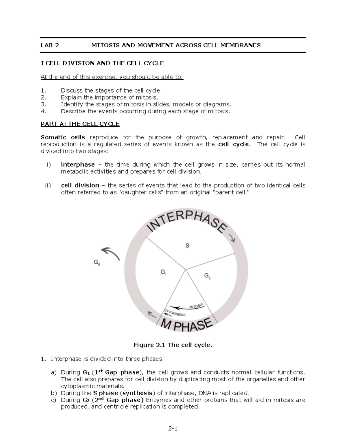 Osmosis & Diffusion Lab 2 - LAB 2 MITOSIS AND MOVEMENT ACROSS CELL ...