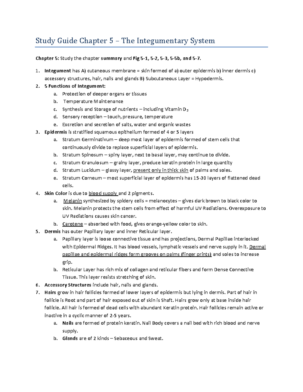 Study guide chapter 5 - Study Guide Chapter 5 – The Integumentary ...