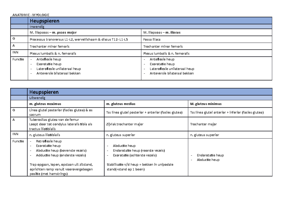 Spieren tabellen - MYOLOGIE - Heupspieren Inwendig M. iliopsoas – m ...