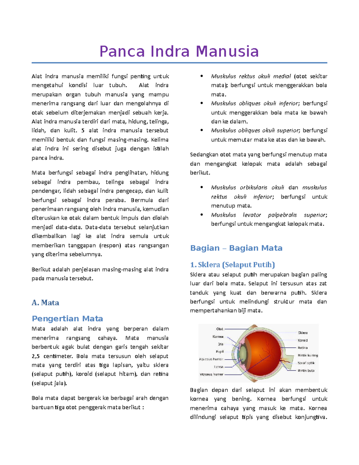 Panca Indra Manusia - high school biology subject school notes - Panca ...