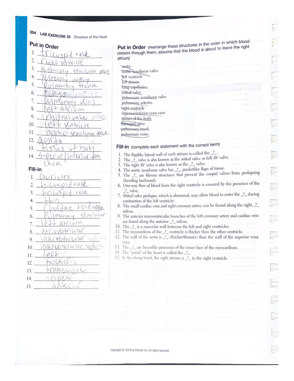 Lab Assignment 35 - 354 LAB EXERCISE 35 Structure of the Heart Put in ...