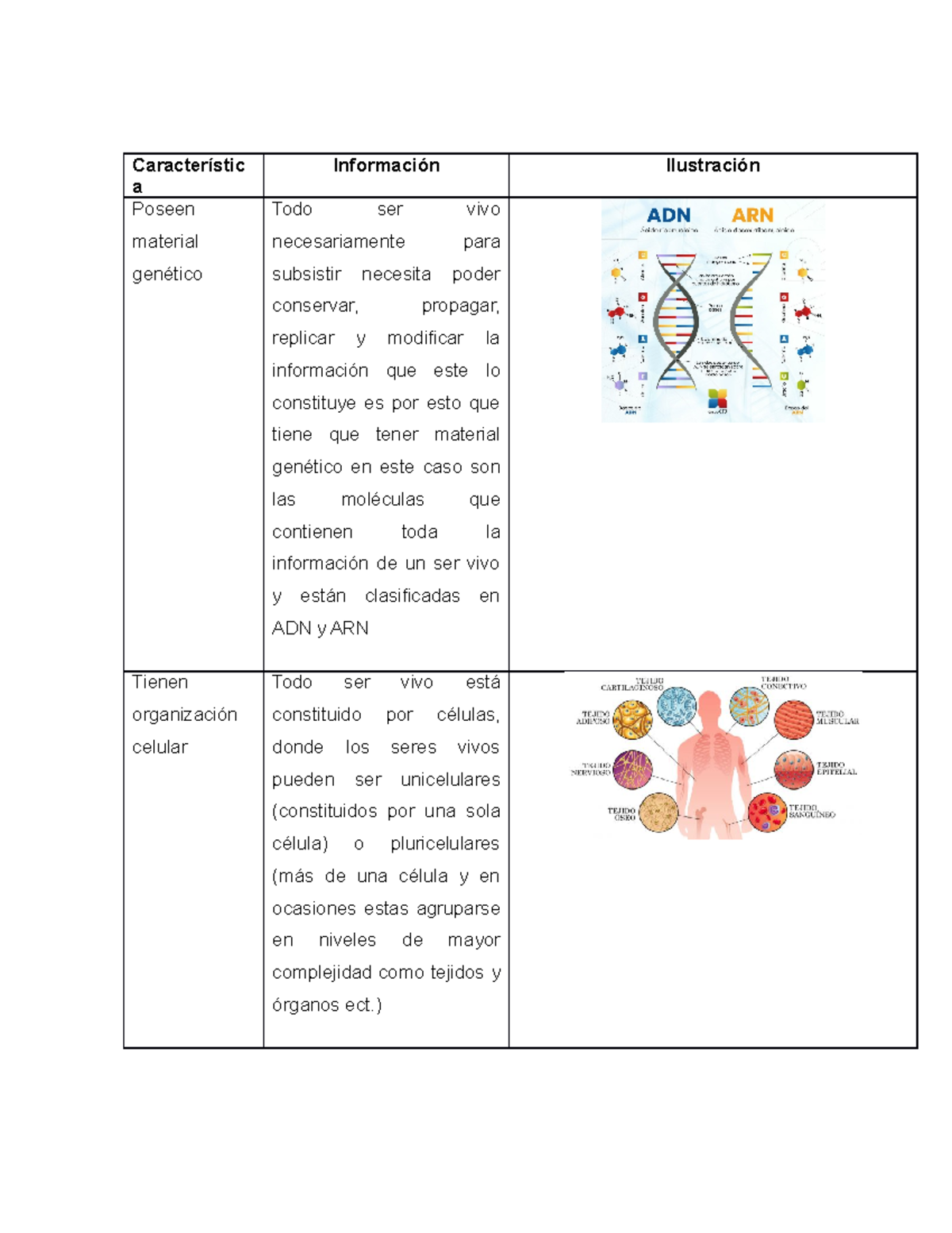 Características caracteriscosas caracterisqueras caracteres equer ...