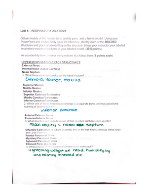BIO 210 Lab 2 Microscope Assignment - BIO211 - York Tech - Studocu