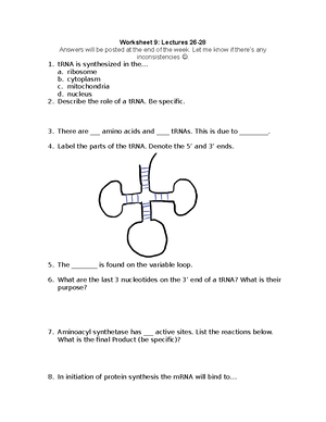 4241A Explanation 2023 1 1 - 4241-A EXPLANATION SHEET OFFICE TIME RANDOM LETTERS - Studocu