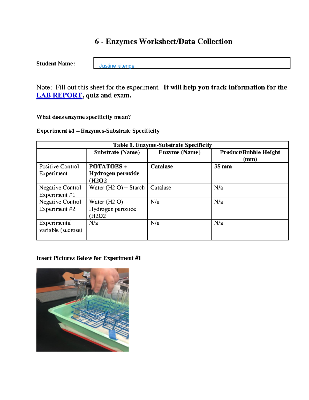 J. kitenge 6-Enzymes Data Collection-23 - 6 - Enzymes Worksheet/Data ...