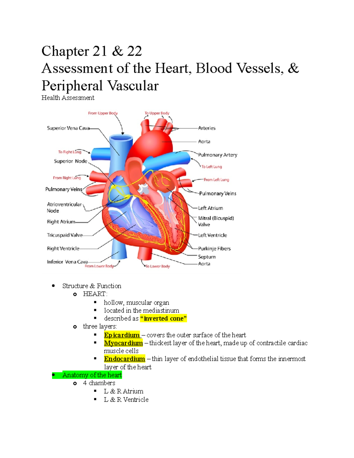 Chapter 21 heart - Head to Toe Assessment - Chapter 21 & 22 Assessment ...