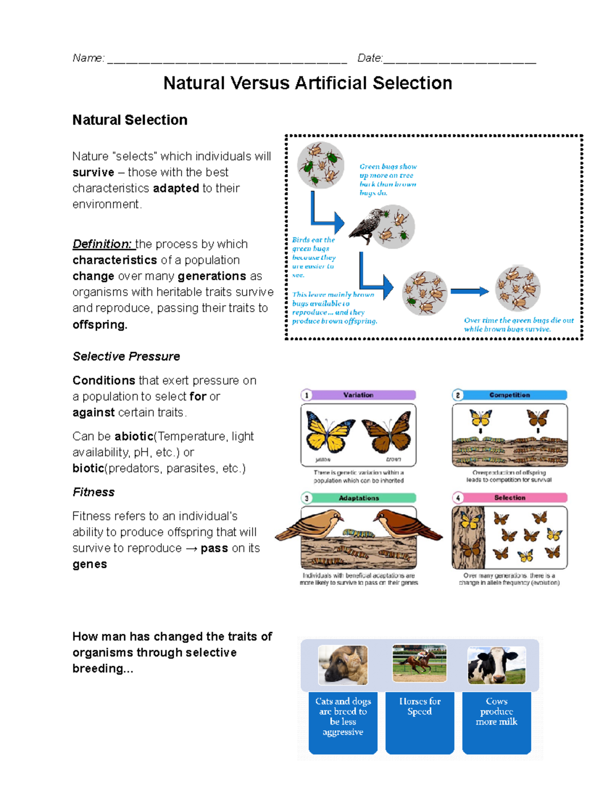 4. Natural Vs. Artificial Selection - Rafia Ahmad - Name