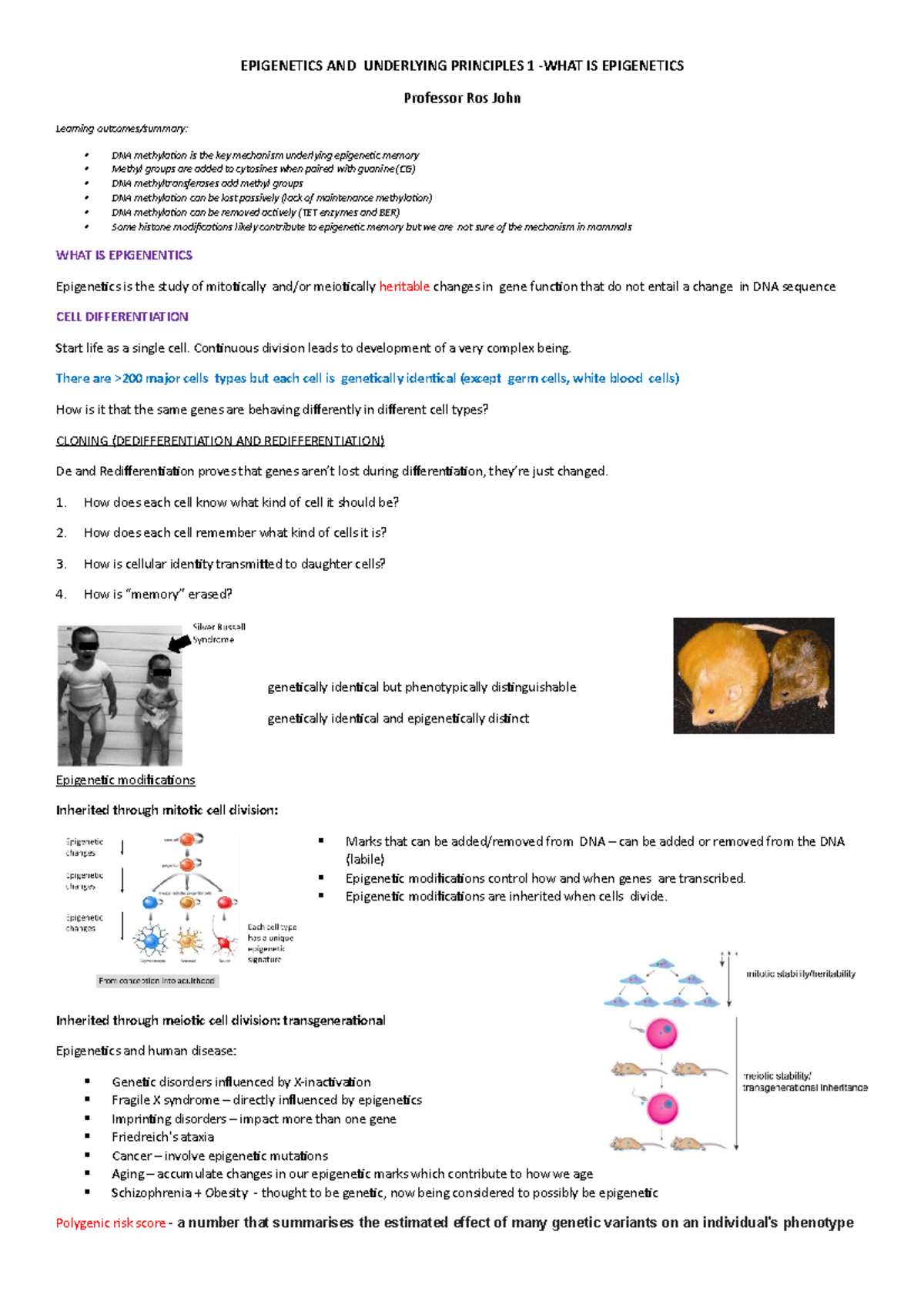 Epigenetics 1+2 - lecture notes - EPIGENETICS AND UNDERLYING PRINCIPLES ...