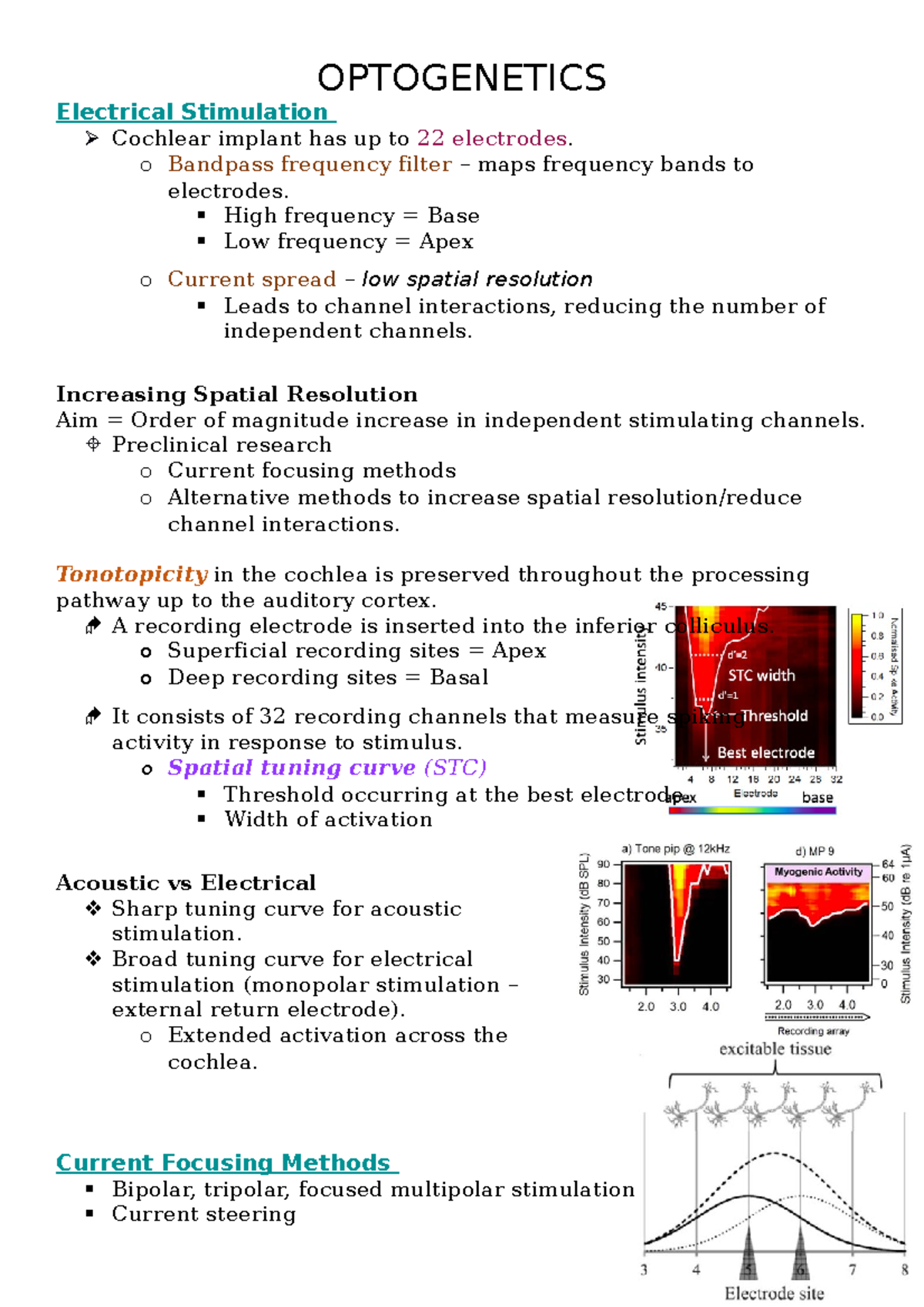 Optogenetics - Genes and models - OPTOGENETICS Electrical Stimulation Ø ...