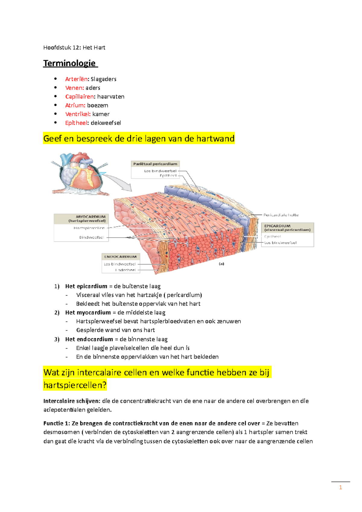 Samenvatting hoofdstuk 12 Het hart - Hoofdstuk 12: Het Hart ...